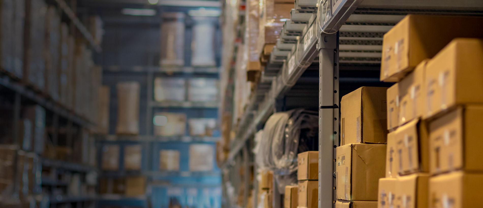 Warehouse Inventory Management for Optimal Control | RGIS